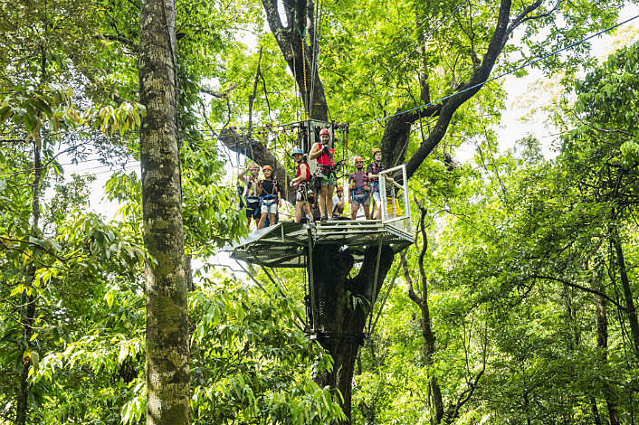 Jungle Surfing Canopy Tours 11.10am by Jungle Adventures • uptopdownunder