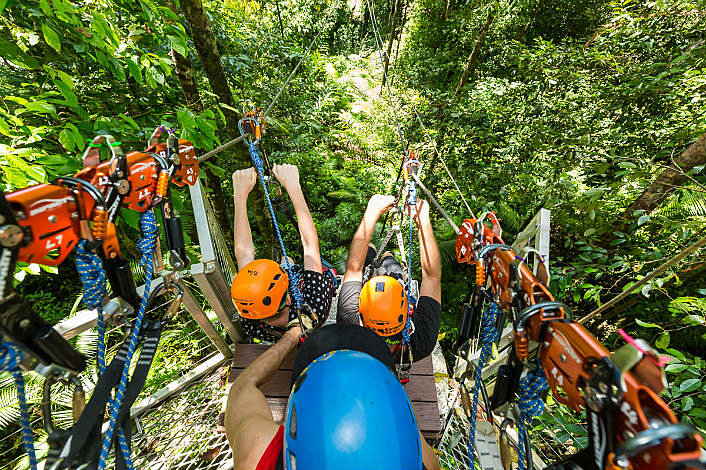 Jungle Surfing Canopy Tours 11.10am by Jungle Adventures • uptopdownunder