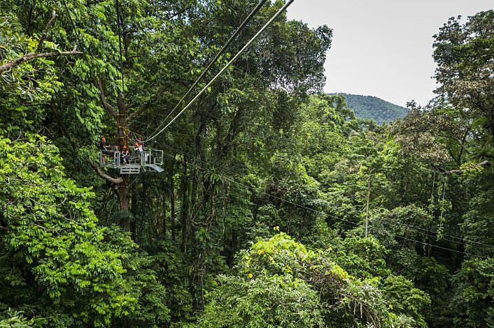 Jungle Surfing Canopy Tours 11.10am by Jungle Adventures • uptopdownunder