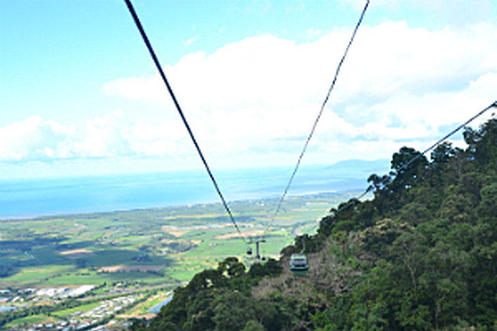 Return Skyrail Experience by Skyrail Rainforest Cableway • uptopdownunder